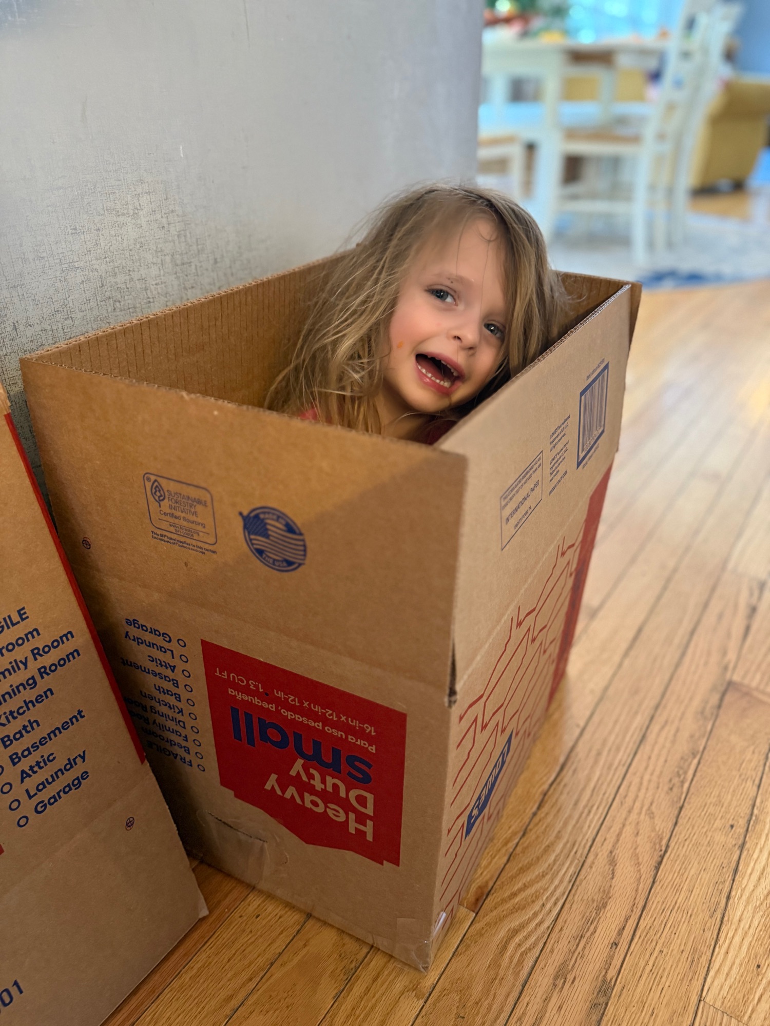 Choosing Forward - Simply Meghan