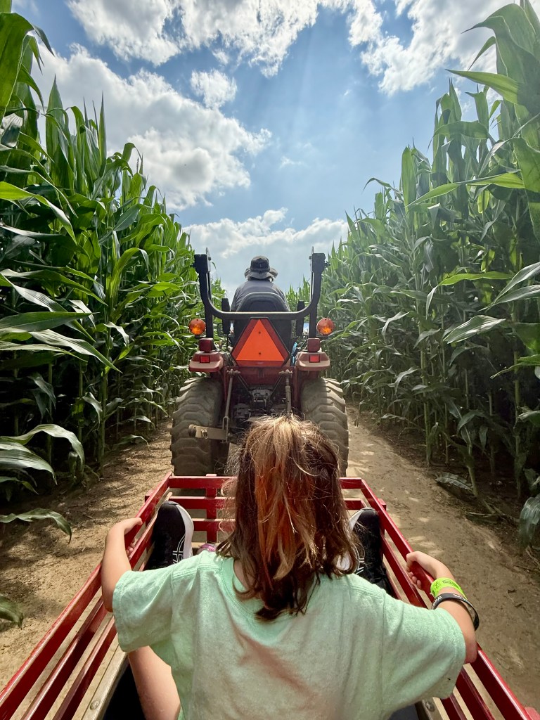 God Has Him Now - Simply Meghan